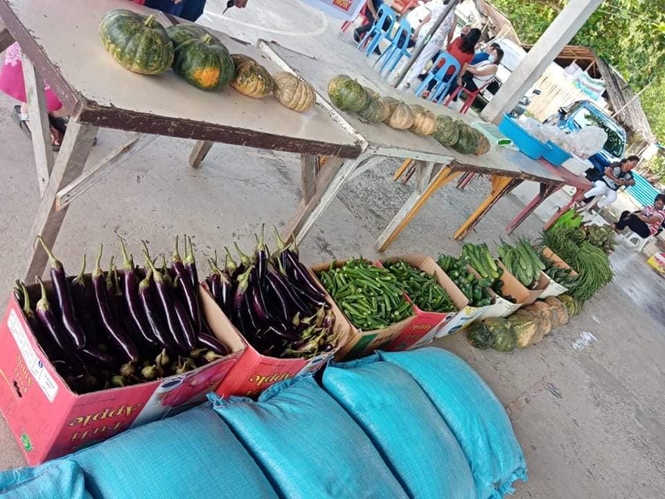 Rotary Club Of Central Surigao Nanghatag Nan Gulay Sanan Karne Sa Taga ...