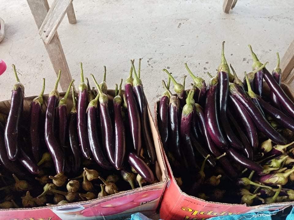 Rotary Club Of Central Surigao Nanghatag Nan Gulay Sanan Karne Sa Taga ...