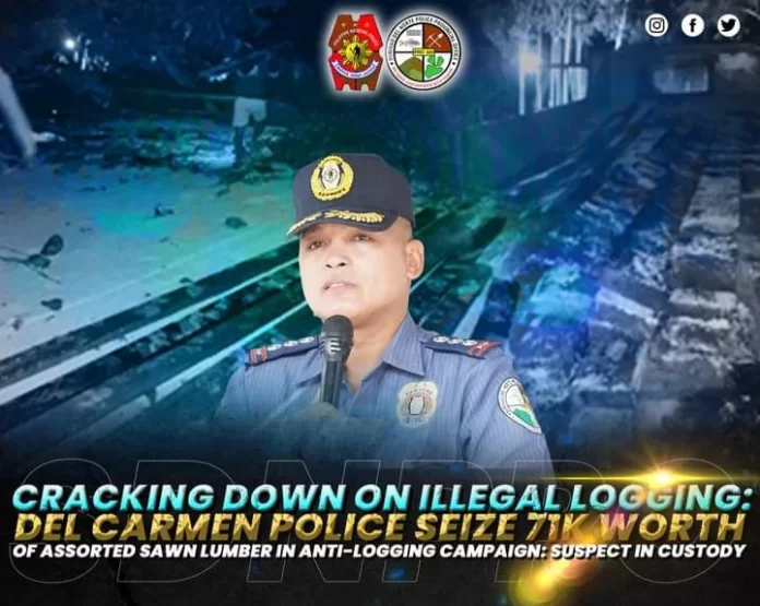 Surigao: 55 anyos na layaki nag karga ug ginabas kahoy na wayay ...